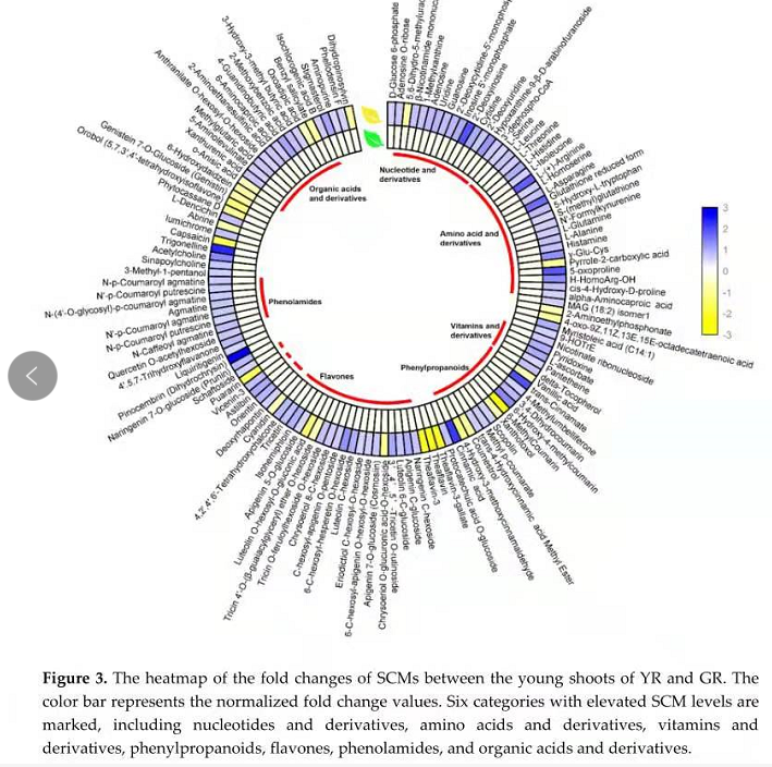 R语言ggplot2实现环形热图的简单小例子 - OSCHINA - 中文开源技术交流社区