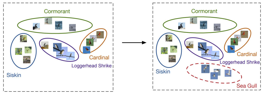 一听就明白的零样本学习 Zero-Shot Learning - OSCHINA - 中文开源技术交流社区