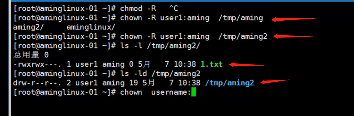 rm，环境变量path，cp，mv，文档查看，chmod，chown，umaks-CSDN博客