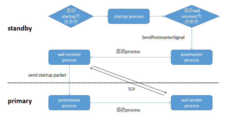Postgresql 主备流复制启动过程 Csdn博客