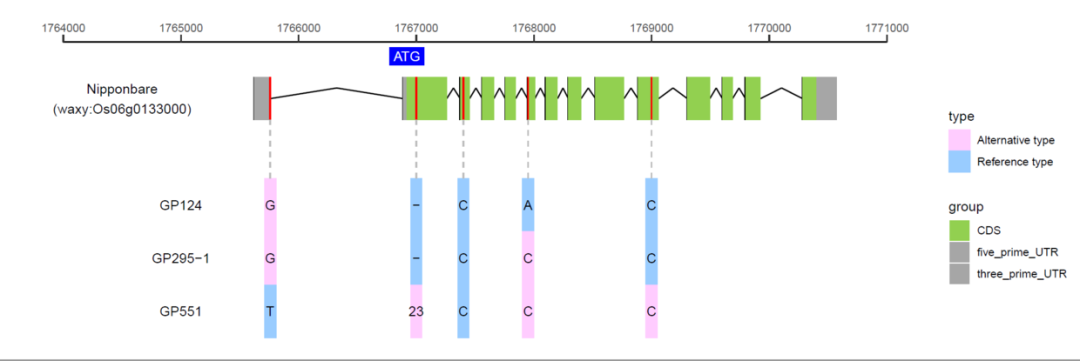 跟着Nature Genetics学画图：R语言ggplot2画图展示SNP位点的碱基类型 - OSCHINA - 中文开源技术交流社区