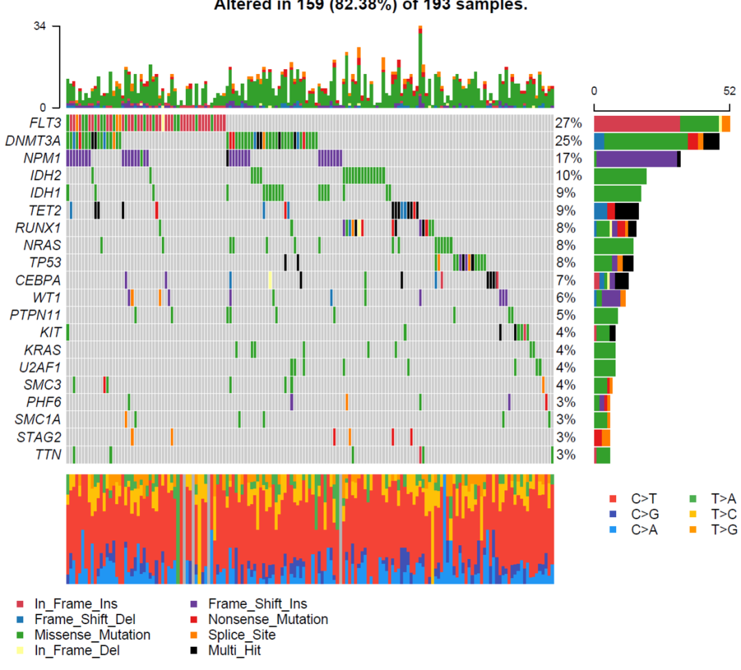 R语言maftools包画oncoplot(瀑布图)的一个简单小例子 - OSCHINA - 中文开源技术交流社区