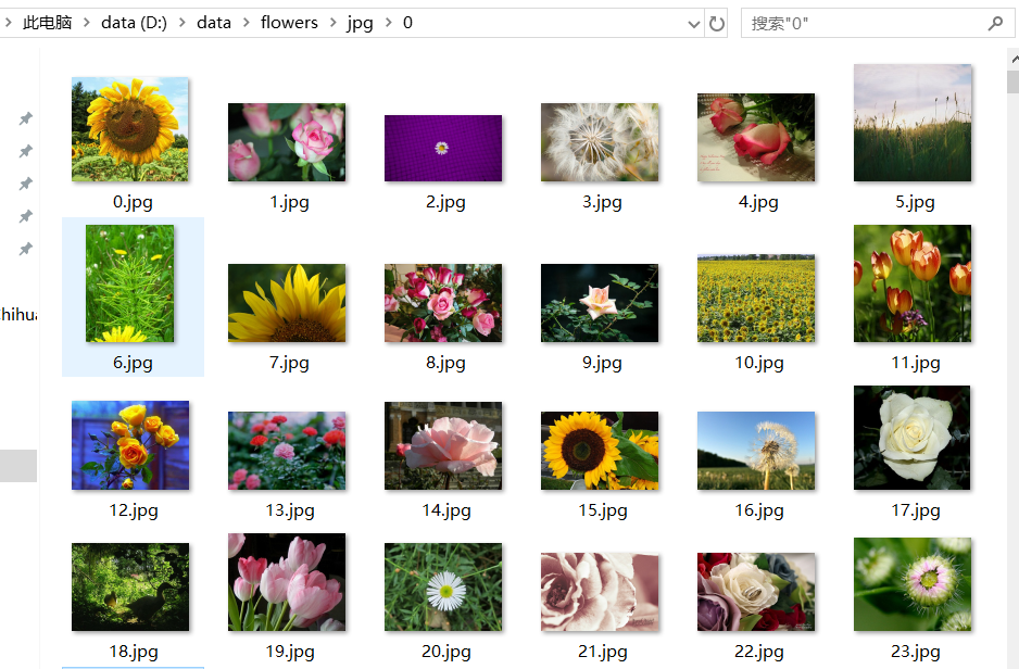 Tensorflow Flowers数据集 Record文件 提取图像 Csdn博客