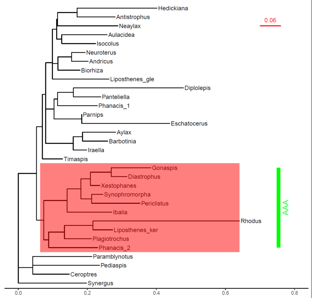 R语言的ggtree展示进化树的一些常用操作 - OSCHINA - 中文开源技术交流社区