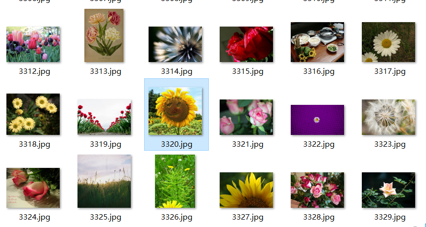 Tensorflow Flowers数据集 Record文件 提取图像 Csdn博客 