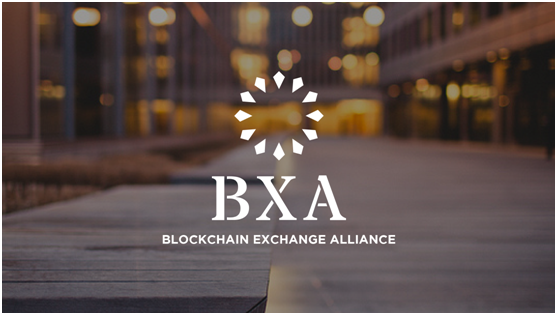 BXA举办首次全球投资者大会 将与ONEROOT深度合作-CSDN博客