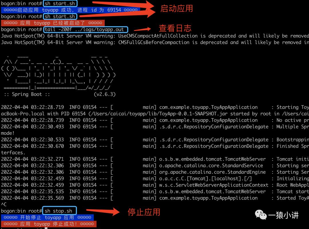玩转 Spring Boot 应用篇（项目打包、发布）（二十） - OSCHINA - 中文开源技术交流社区