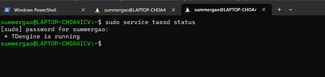 基于Windows Ubuntu子系统安装 TDengine-CSDN博客