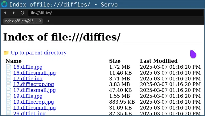 开源 Rust 浏览器引擎 Servo 支持 GIF - OSCHINA - 中文开源技术交流社区