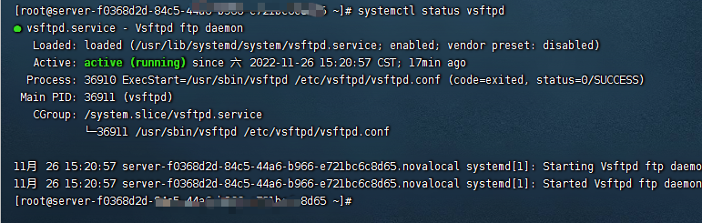 Centos7.6安装FTP_centos安装ftp-CSDN博客